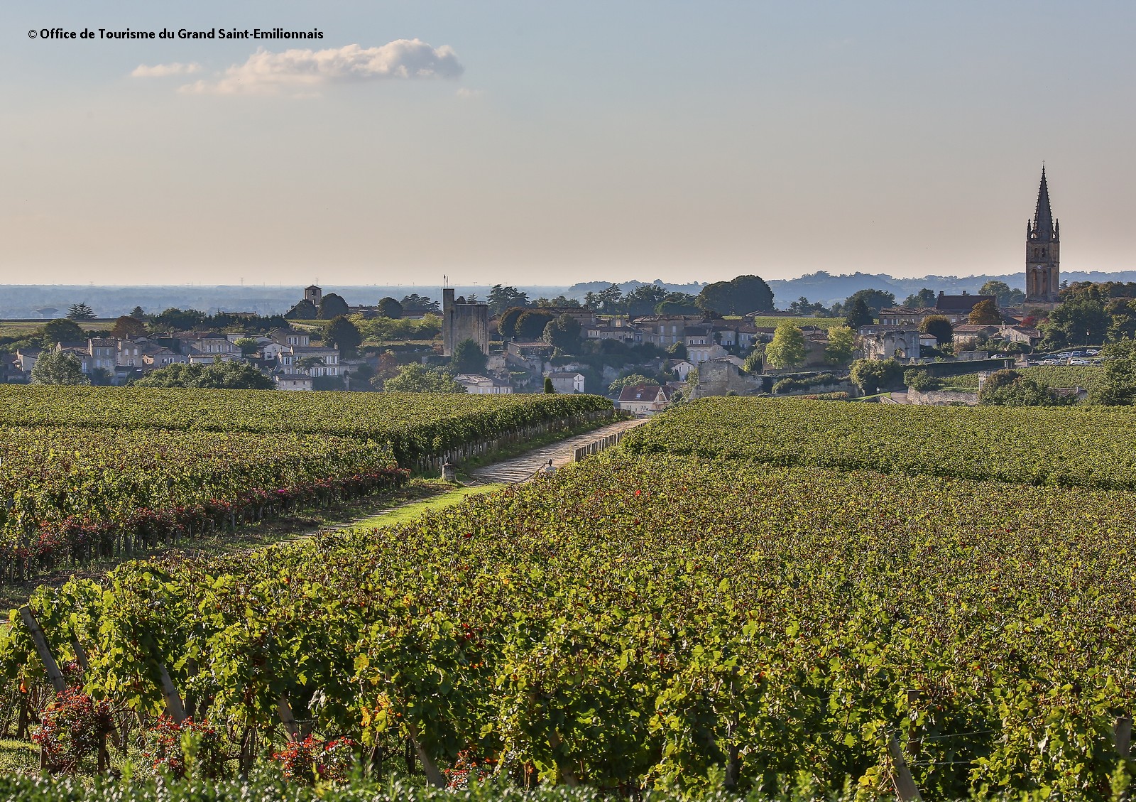 Destination Vignoble : les vins de Saint-Emilion